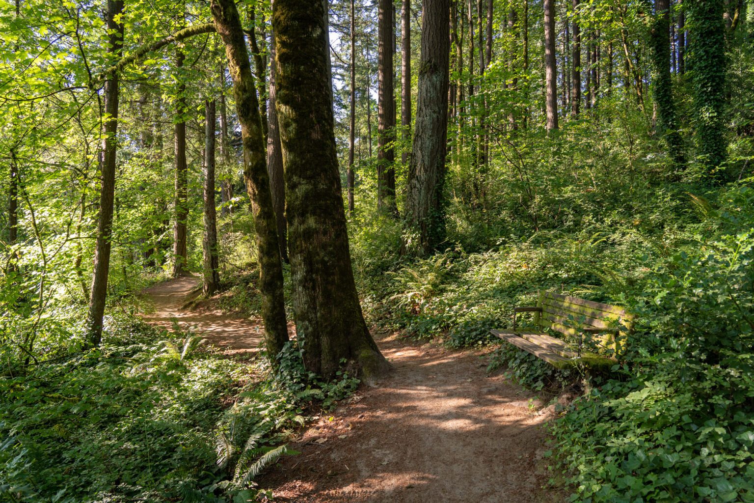 The 4T Trail: Portland’s Most Unique Urban Hike