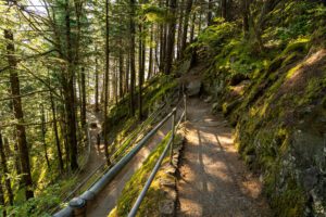 Hiking the Beacon Rock Trail: Everything You Need to Know