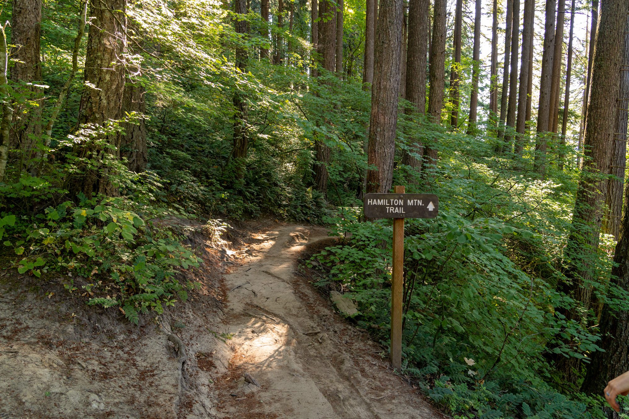 How to Hike the Amazing Hamilton Mountain Trail in the Gorge
