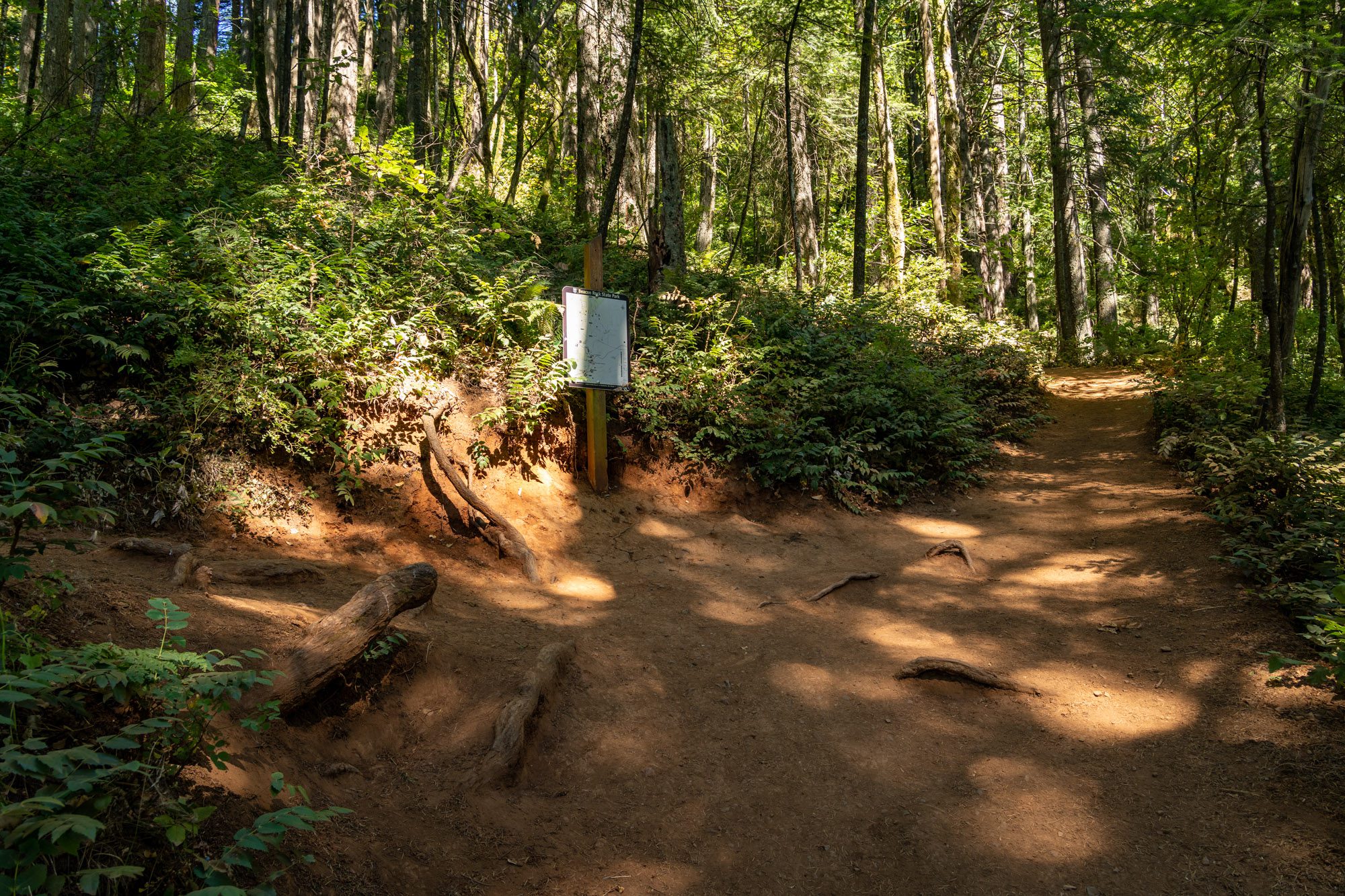 How to Hike the Amazing Hamilton Mountain Trail in the Gorge