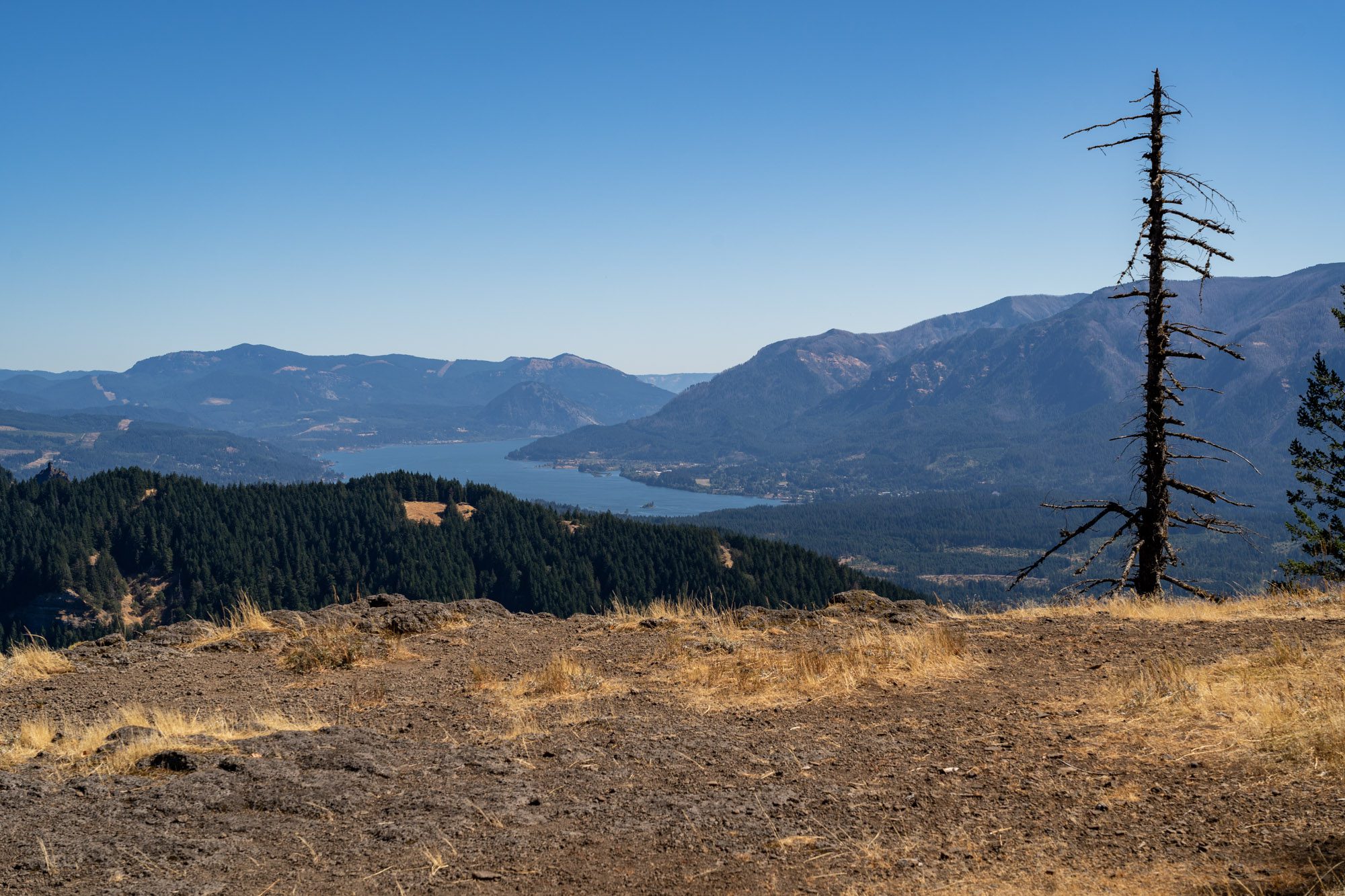 How to Hike the Amazing Hamilton Mountain Trail in the Gorge